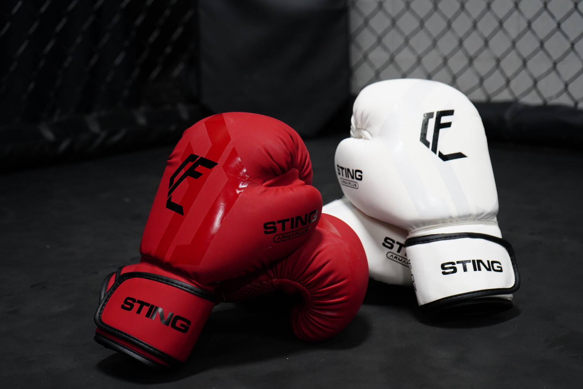 Step into the Ring with Classic Fight Shop - Your Ultimate Source for ...
