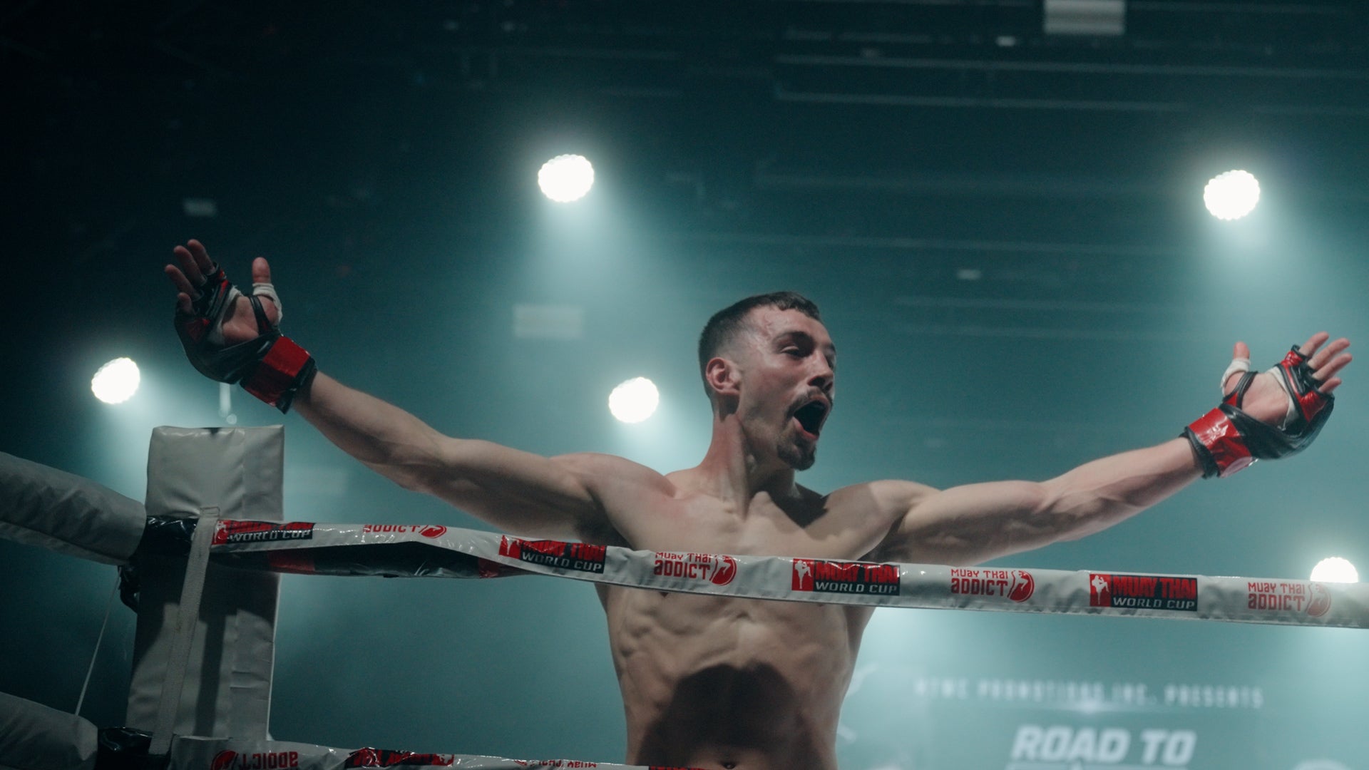 Step into the Ring with Classic Fight Shop - Your Ultimate Source for ...